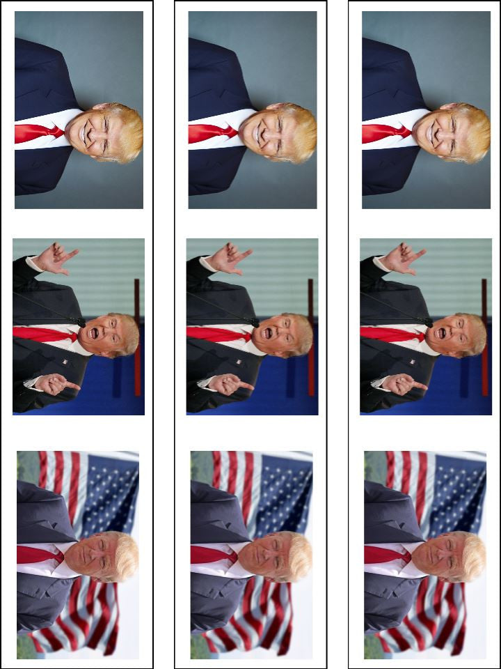 Donald Trump 01 Edible Icing Cake Topper or Ribbon – the caker online