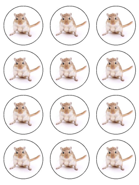 Gerbil / Mouse Edible Icing Cake Topper 01 – the caker online