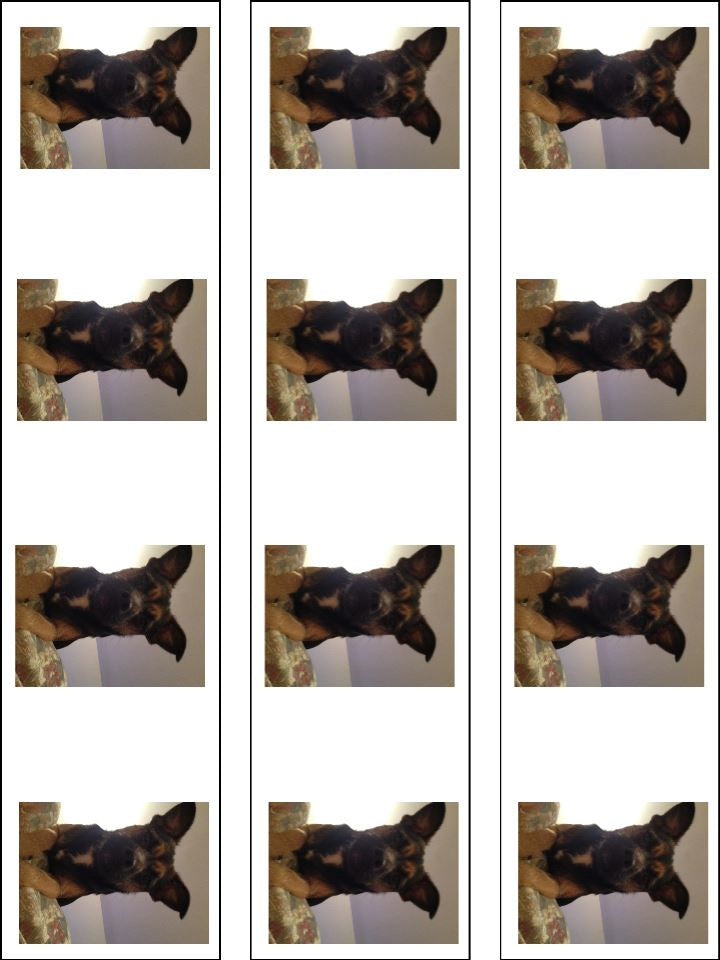 1 x Set of Edible Cake Ribbon, Border, Wrap with your own Image – the ...