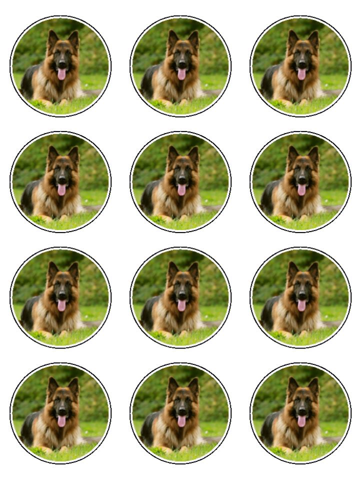 German Shepherd Dog Edible Icing Cake Topper - Alsation 02 – the caker ...